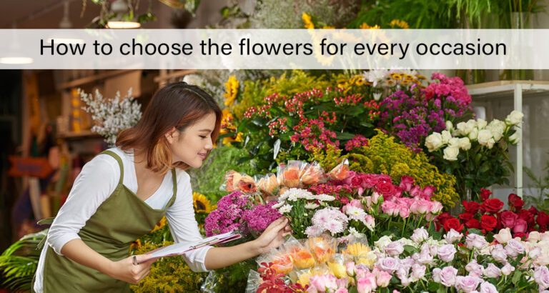 How to choose the flowers for every occasion? - Black Tulip Flowers